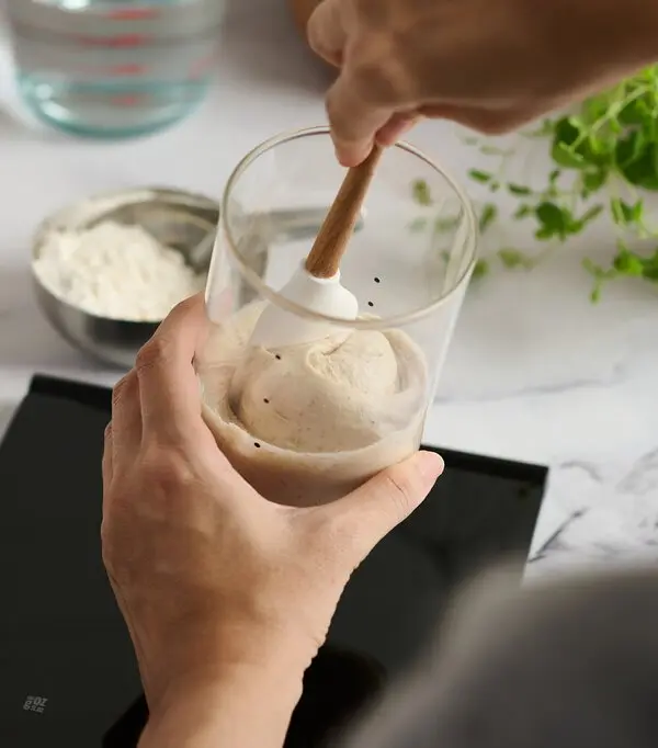 SOURHOUSE Glass Sourdough Pint Starter Jar