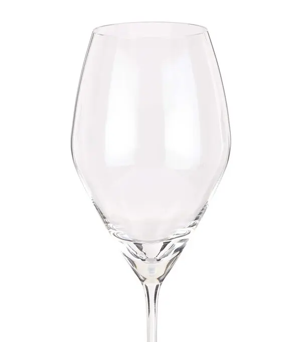 RIEDEL Crystal Performance Champagne Flutes