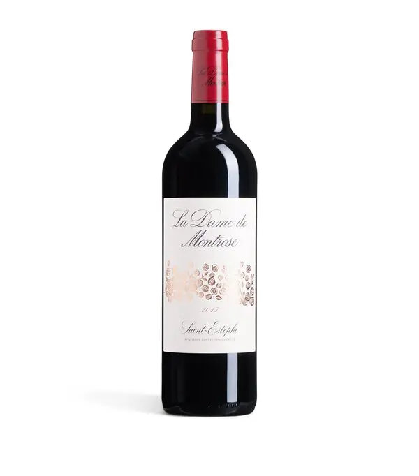 CHÂTEAU MONTROSE La Dame De Montrose 2017 Bordeaux, France - Red