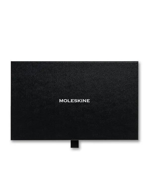 MOLESKINE Le Duo Ecriture Fountain Pen And Notebook Set