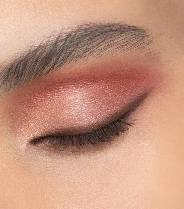 Dior Show 5 Couleurs Eyeshadow Palette - Nude