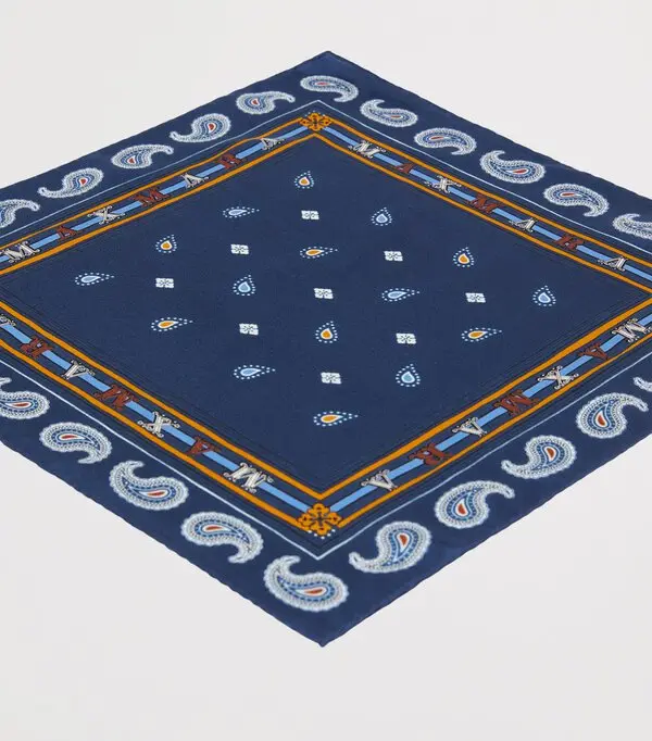 Max Mara Silk Printed Scarf - Blue
