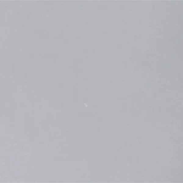 Gingerlily Silk Super King Flat Sheet - Silver