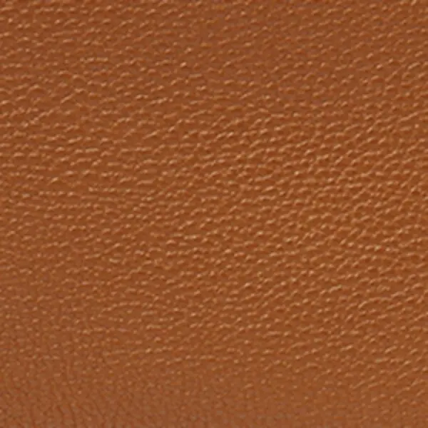 ASPINAL OF LONDON Leather Hudson Tote Bag