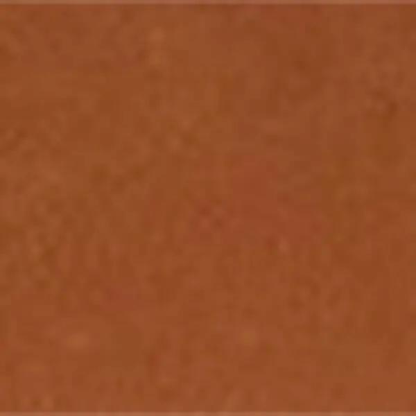 Ralph Lauren Leather Garrett Frame