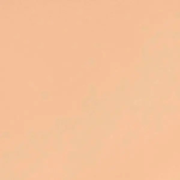 SUQQU Intense Cover Concealer - Neutral