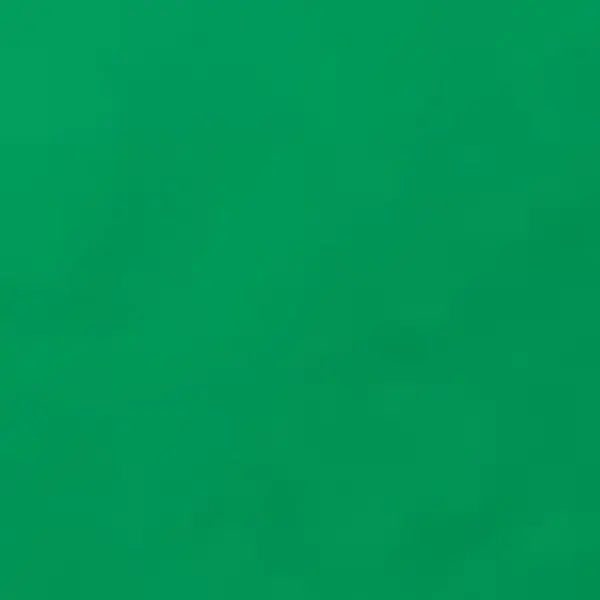 Ralph Lauren Cotton Square Pillowcase - Green