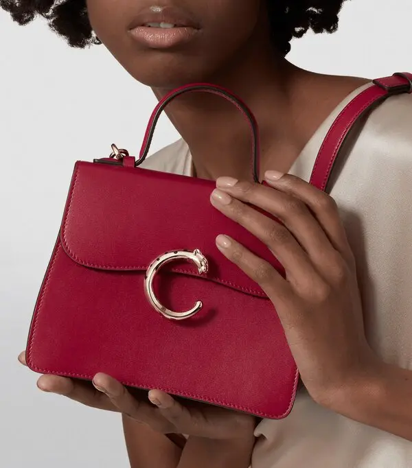 Cartier Leather Mini Panthère De Top-handle Bag - Red