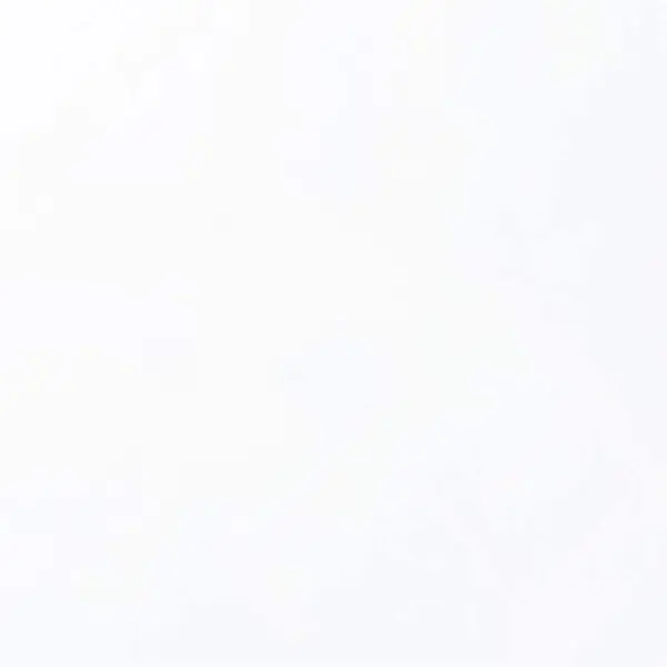 YVES DELORME Athena Blanc Square Pillowcase - White