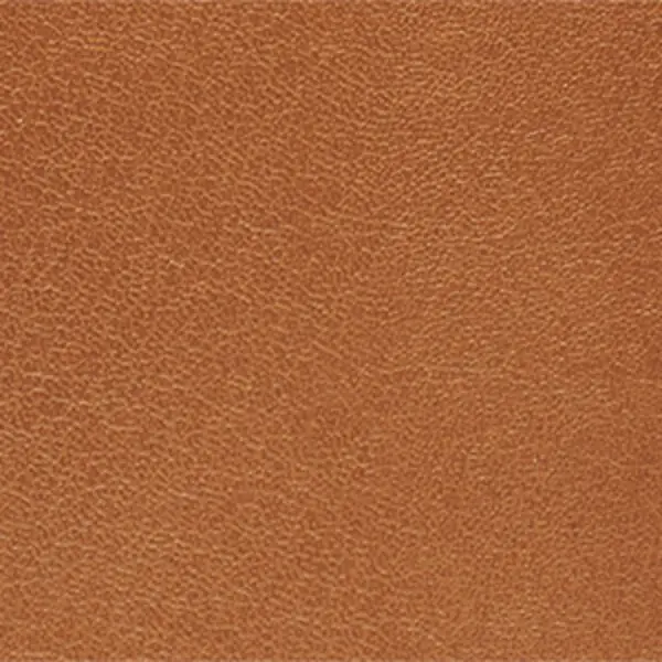 ASPINAL OF LONDON Leather Iphone 16 Pro Case