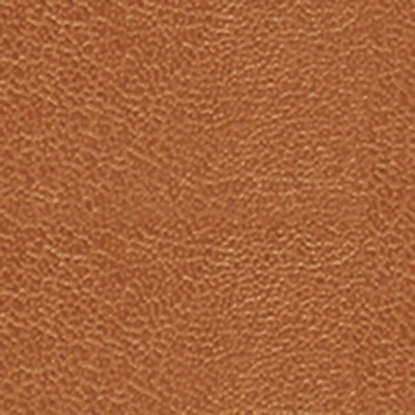 ASPINAL OF LONDON Leather Iphone 16 Pro Max Case