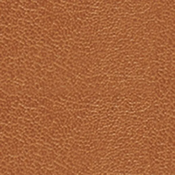 ASPINAL OF LONDON Leather Iphone 16 Pro Max Case