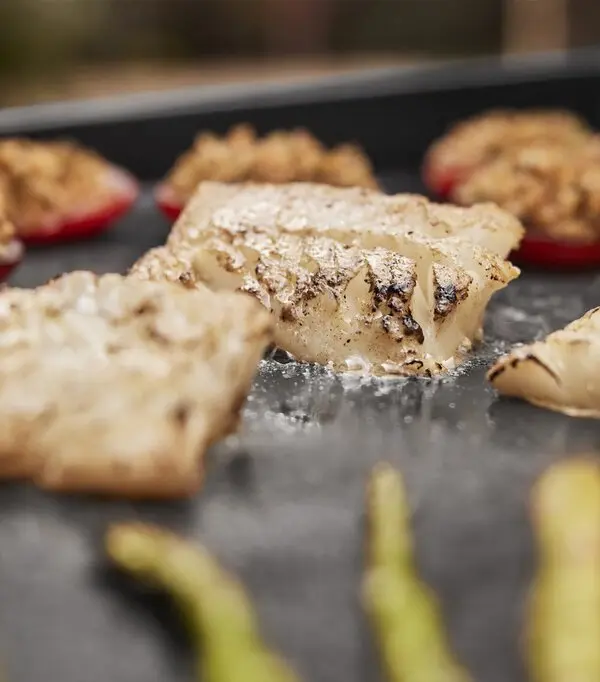 WEBER Slate Premium Griddle Bbq