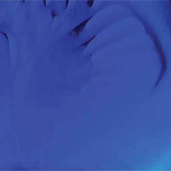 Lalique Crystal Fish Sculpture - Blue
