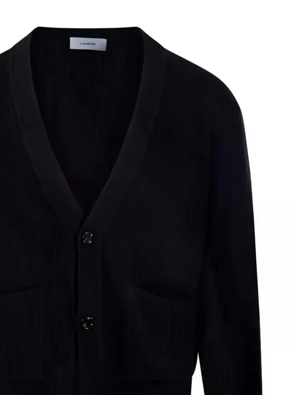 LARDINI Buttoned V-neck Cardigan