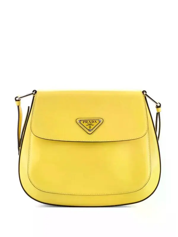 Prada Cleo Flap Shoulder Bag Spazzolato Leather Small Hobo Bag