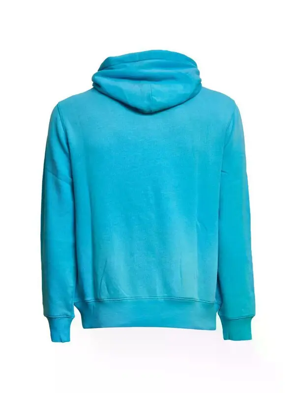Polo Ralph Lauren Polo Bear Graphic Hoodie