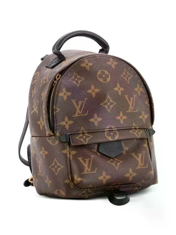 LOUIS VUITTON Palm Springs Monogram Canvas Mini Backpack - Brown