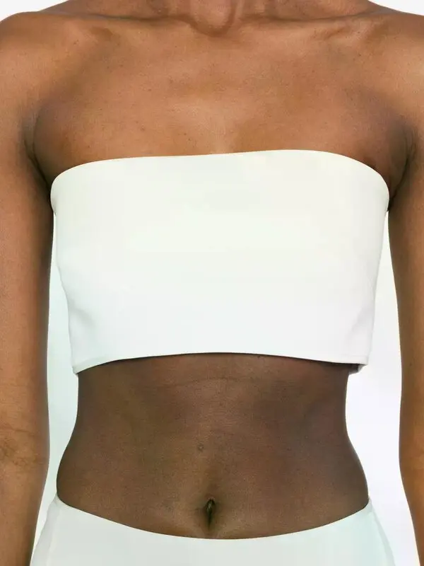 Maticevski Zip Strapless Top