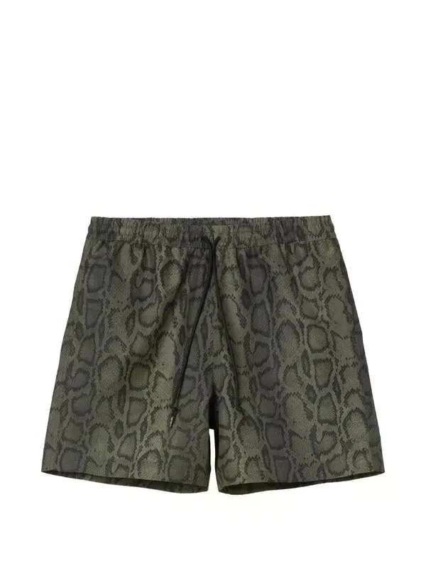 Carhartt Work In Progress Slater Snake-print Shorts