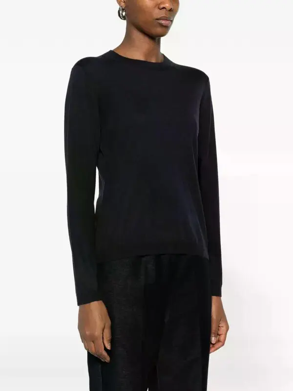Max Mara Crewneck Long Sleeve Pullover - Blue