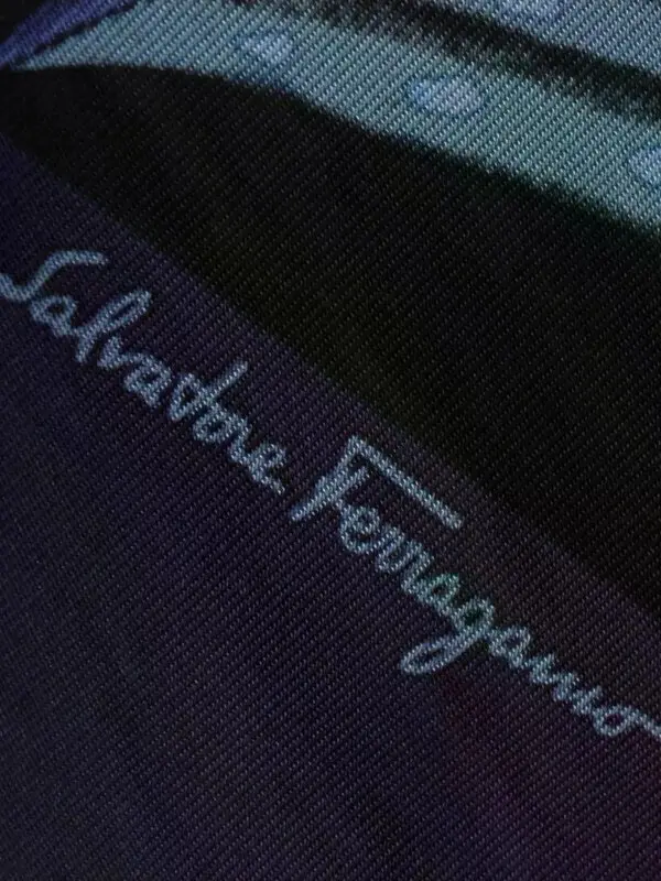 FERRAGAMO 2024 Printed Scarf