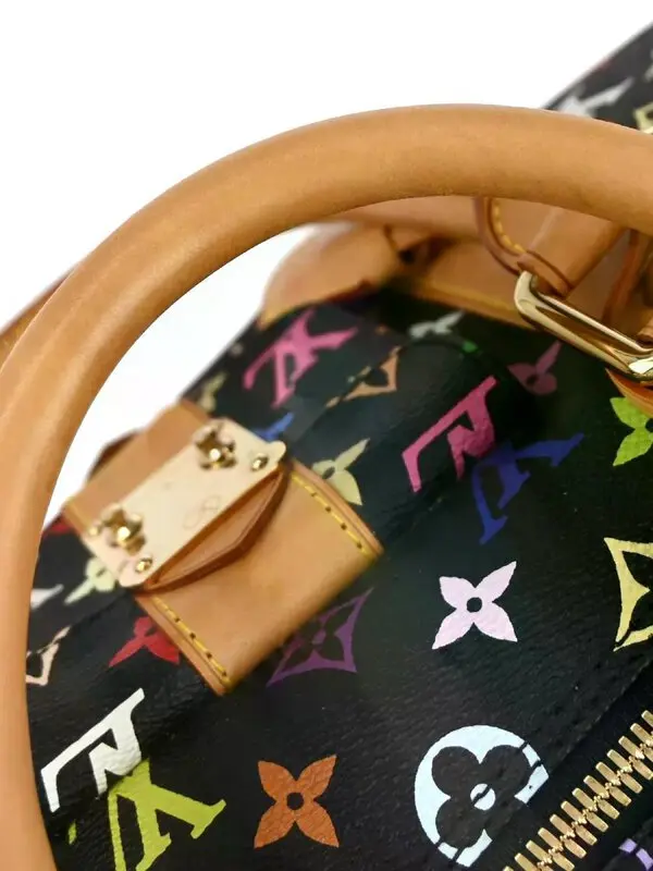LOUIS VUITTON Monogram Multicolor Speedy Handbag
