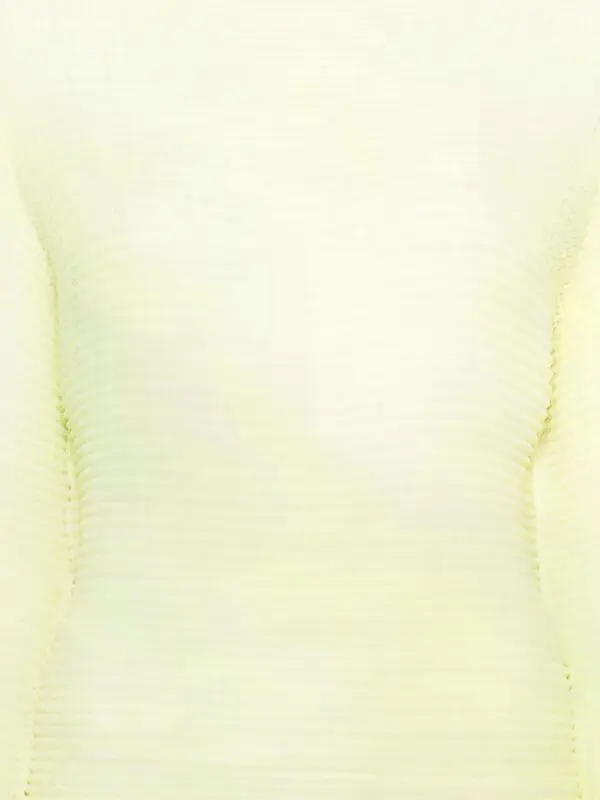 Issey Miyake Ribbed Roll Neck Blouse