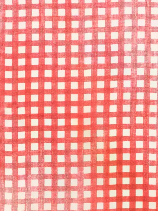 Ermanno Scervino Checked Scarf - Red
