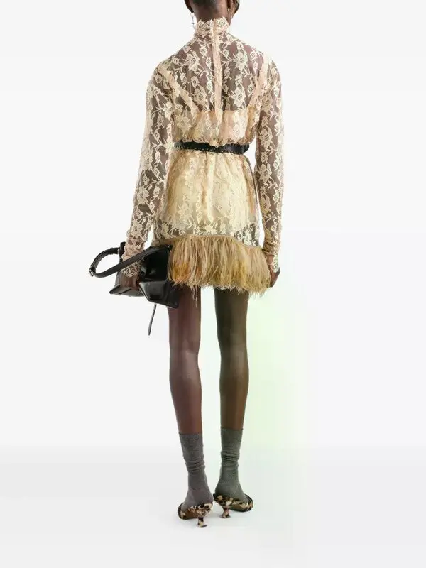 Dolce & Gabbana Lace Feather Mini Dress - Neutrals