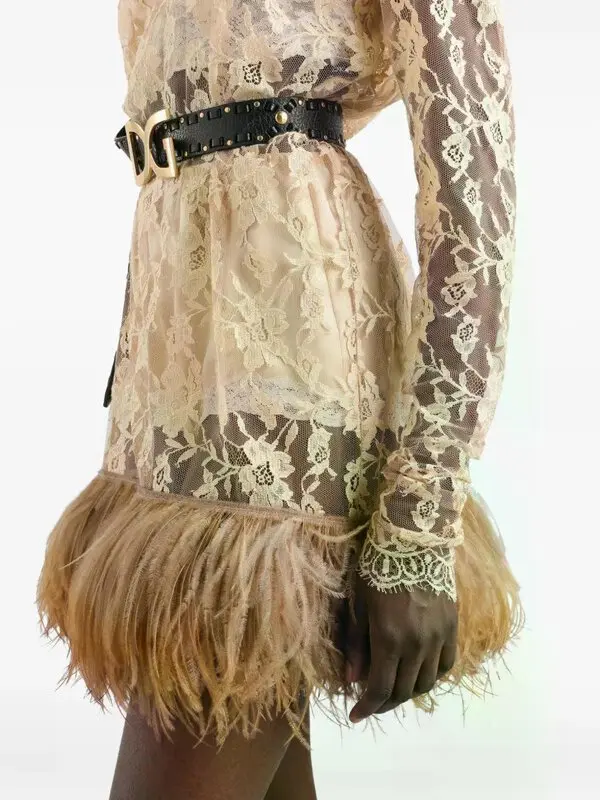 Dolce & Gabbana Lace Feather Mini Dress - Neutrals