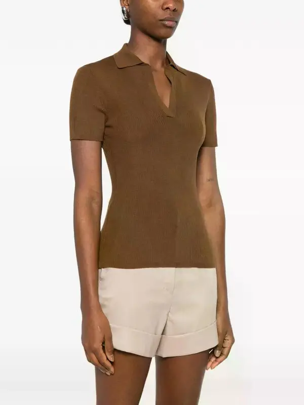 Max Mara Albero V-neck Ribbed Knit Top - Brown
