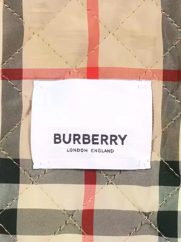 Burberry Austrel Boa Hooded Embroidery Jacket - Neutrals
