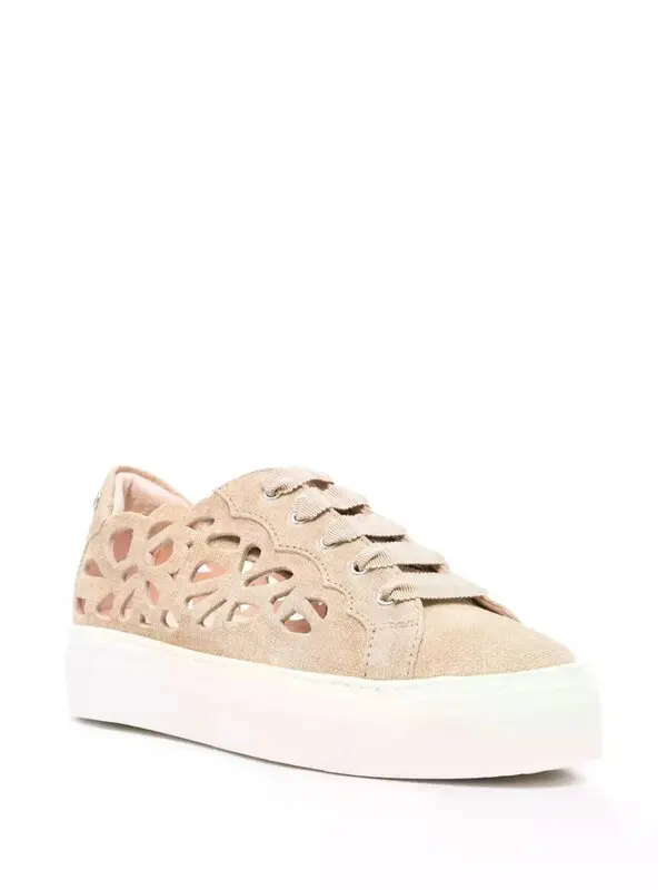 Agl Cut-out Sneakers With Ribbon Laces
