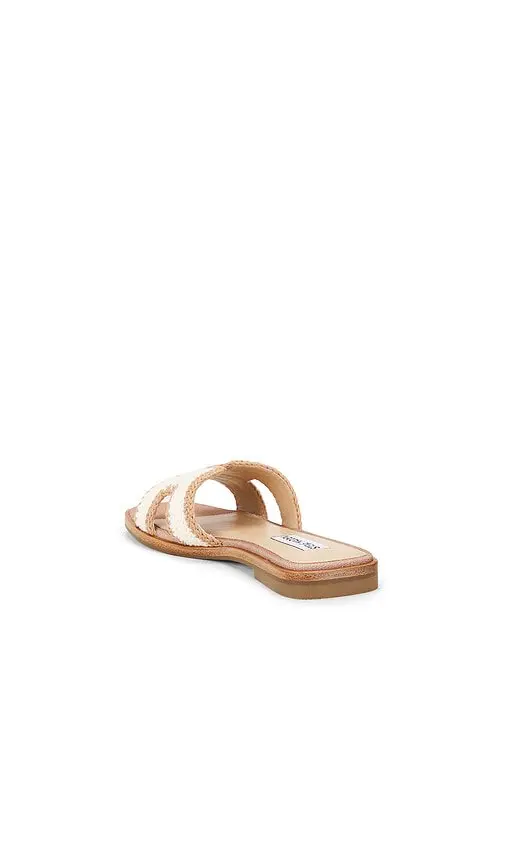 Steve Madden Hadyn Sandal