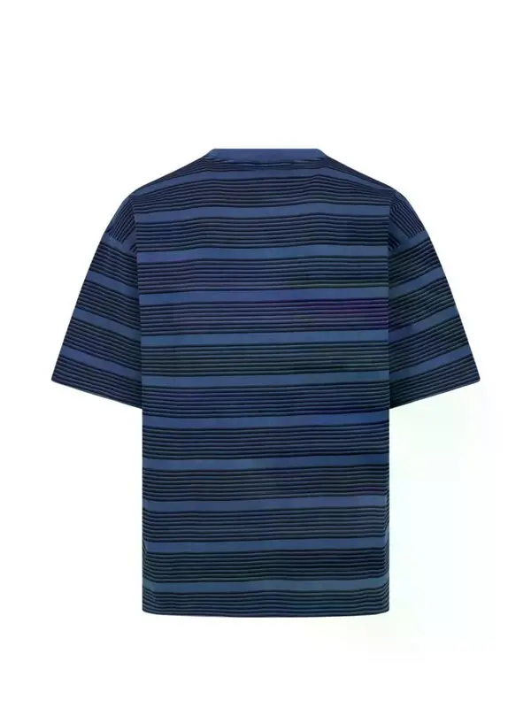 Carhartt Work In Progress S/s Hanson Striped T-shirt