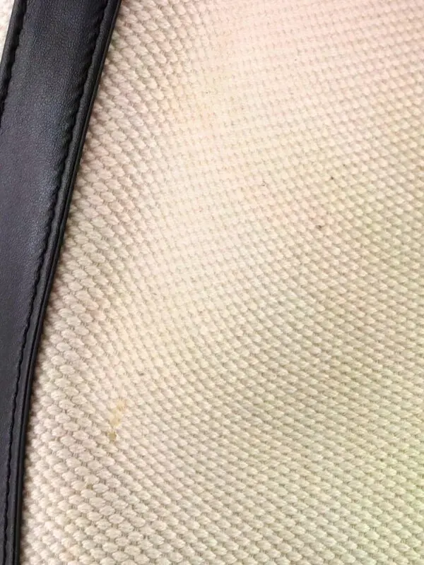Celine Cabas Maillon Triomphe Canvas Tote Bag