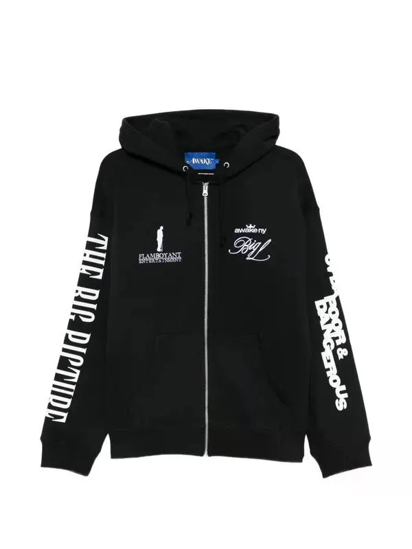 AWAKE NY The Big Picture Hoodie