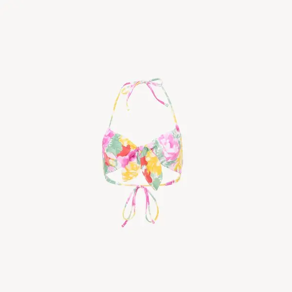 Chloé Garden-print Bikini Top - Multicolor