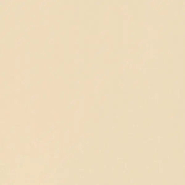 Max Mara Stretch Cotton T-shirt
