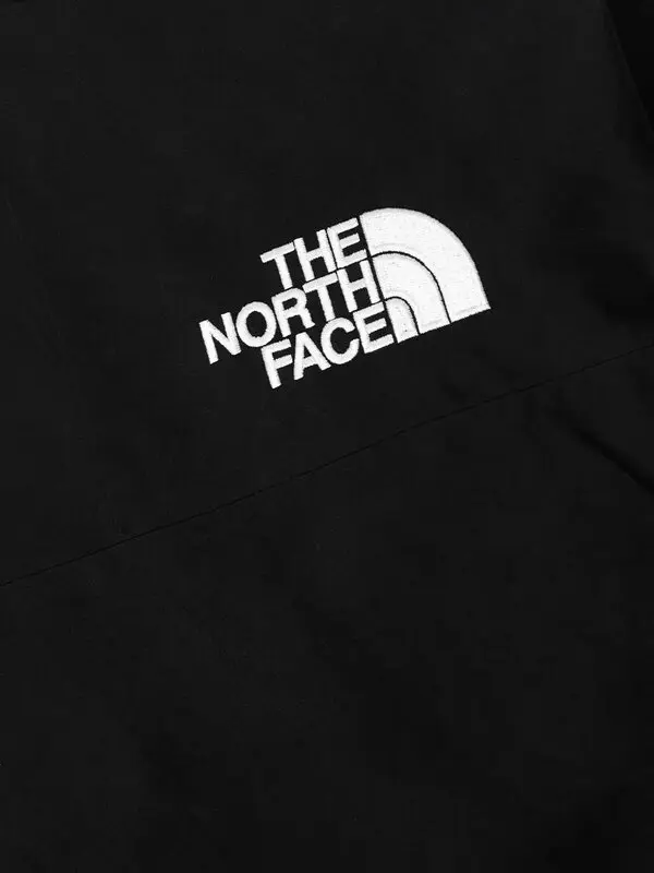 The North Face Gore-tex Mountain Jacket