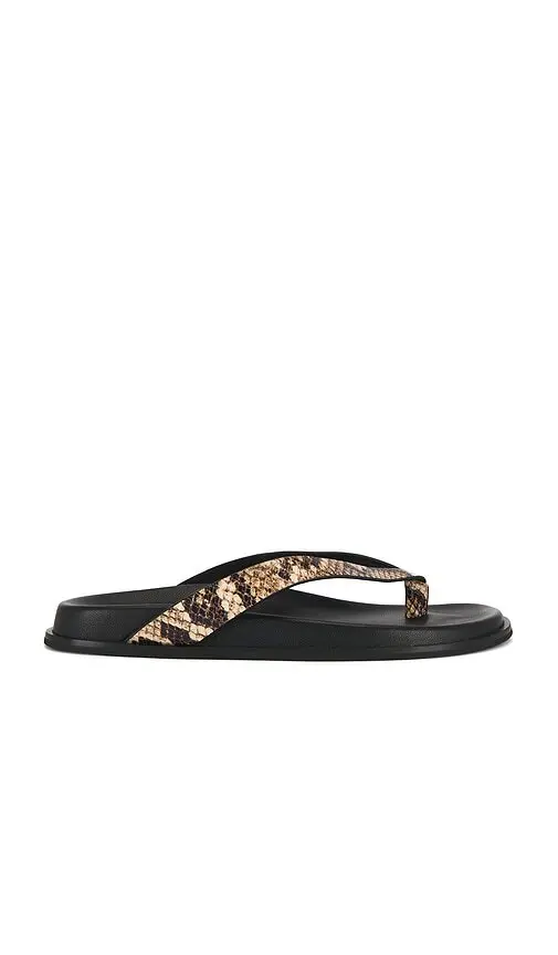 Paige Zadie Sandal