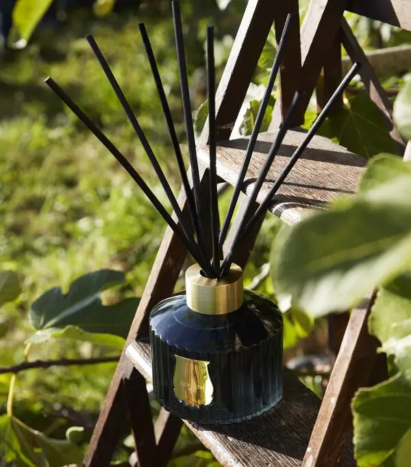 TRUDON Figuerie Diffuser