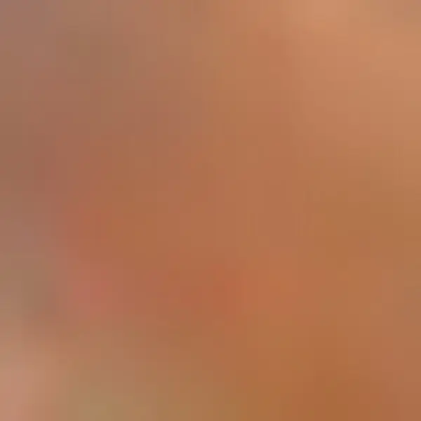 Gucci Rimless Rectangle Sunglasses