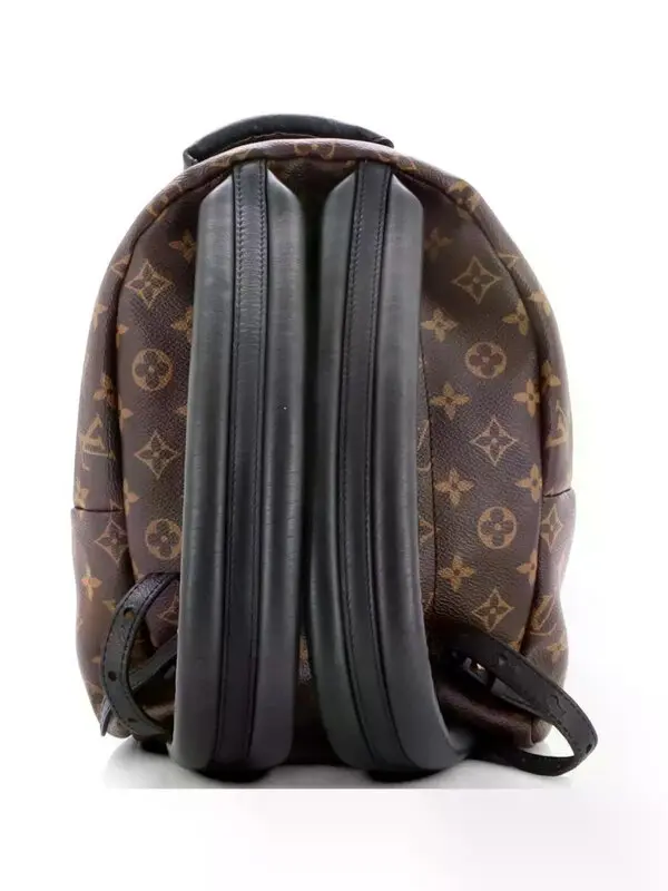 LOUIS VUITTON Palm Springs Monogram Canvas Pm Backpack - Brown