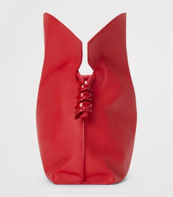 Loewe Medium Leather Flamenco Purse