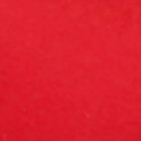 Amina Muaddi Elodie Heeled Mules - Red