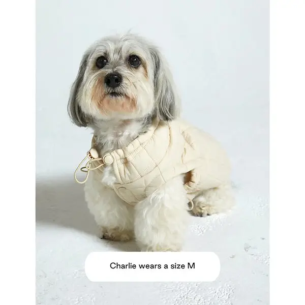 MAXBONE Quilted Dog Jacket
