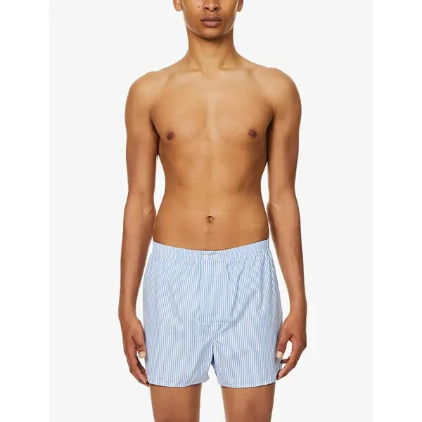 Derek Rose James Striped Cotton Boxer Briefs - Blue