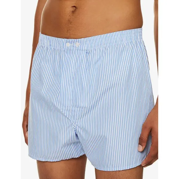Derek Rose James Striped Cotton Boxer Briefs - Blue